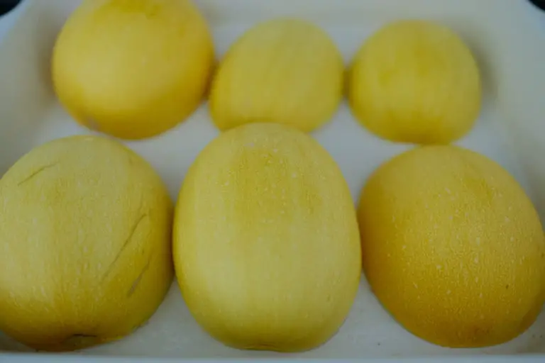 Spaghetti Squash; Small Wonder Winter Squash, How to Harvest, Bake ...