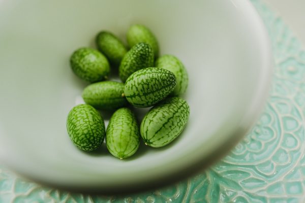 What is a Cucamleon | Simply Living NC